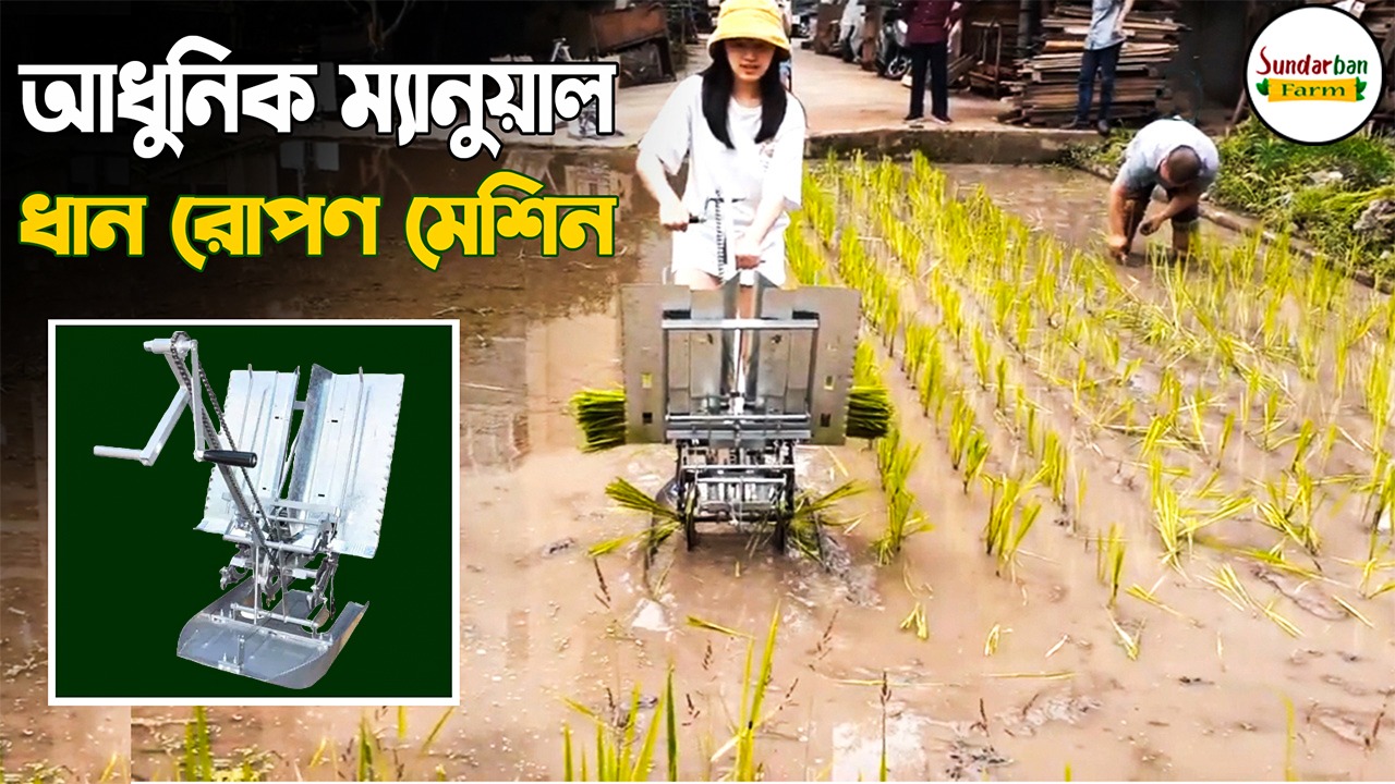 Paddy Transplanter Machine